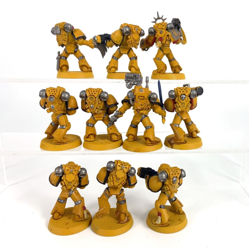 firstborn tactical squad
